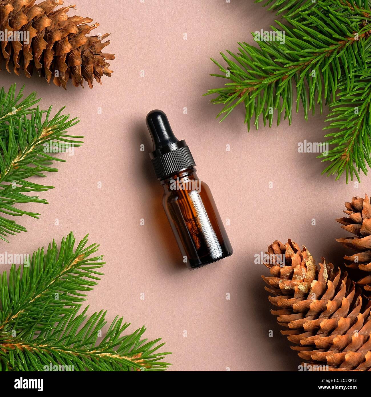 Glass dropper bottle with conifer essential oil on neutral background ...