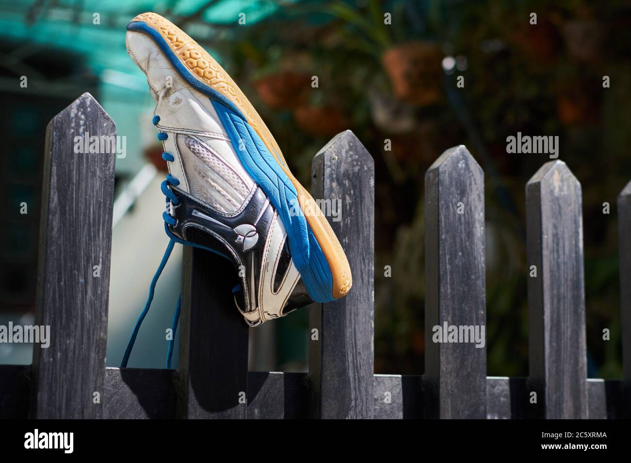 A colourful shoe hanging on the spike of a wooden fence Stock Photo - Alamy