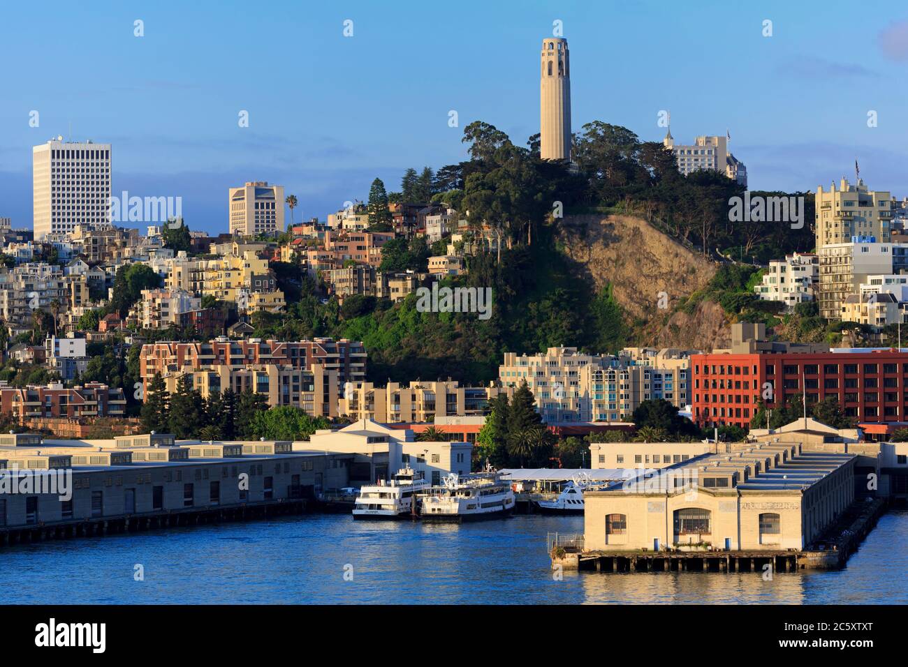 Coit tower telegraph hill landmark hi-res stock photography and images ...