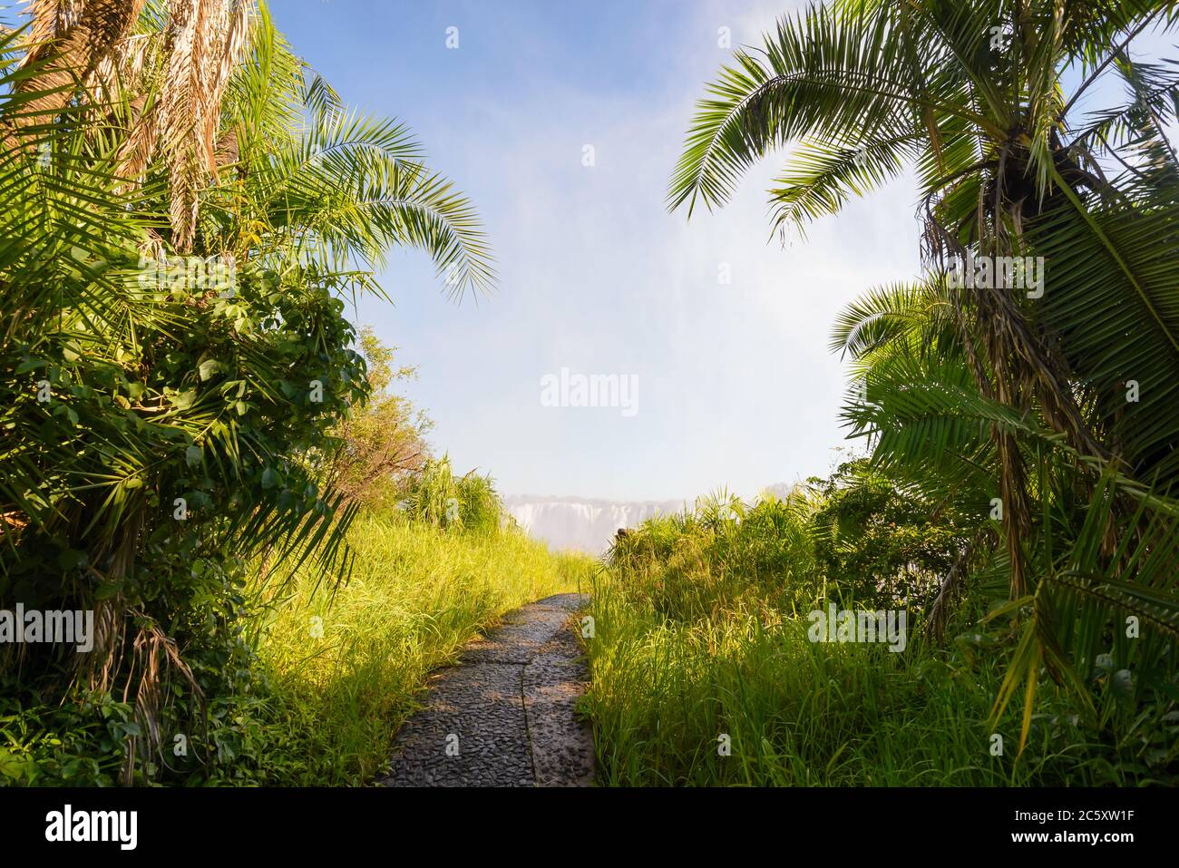 Wet path for tourism on the way to Victoria Falls in Zimbabwe in Africa ...