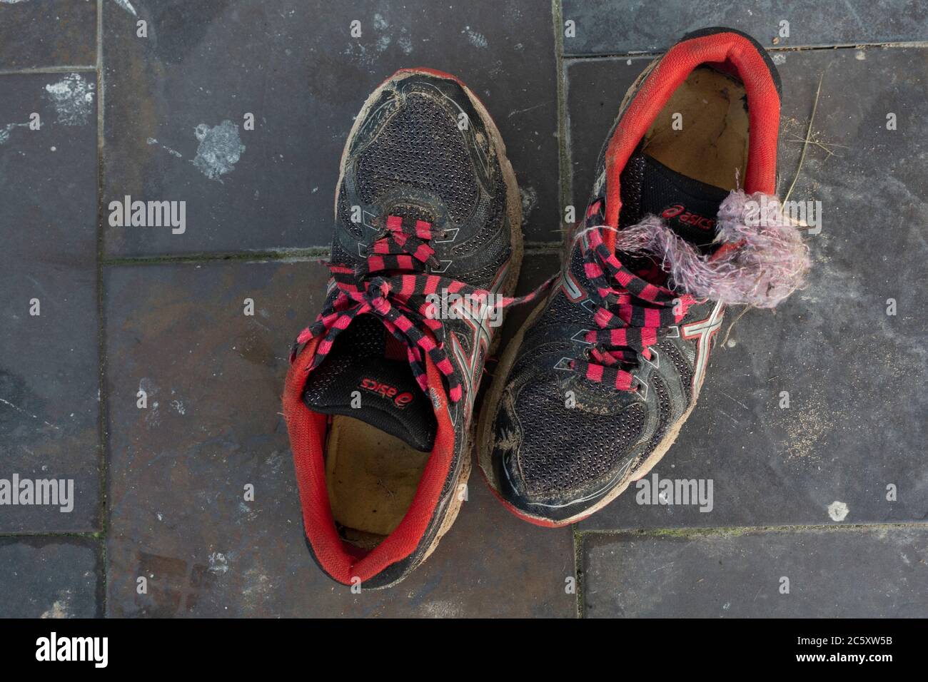 0060 hi-res stock photography and images - Alamy