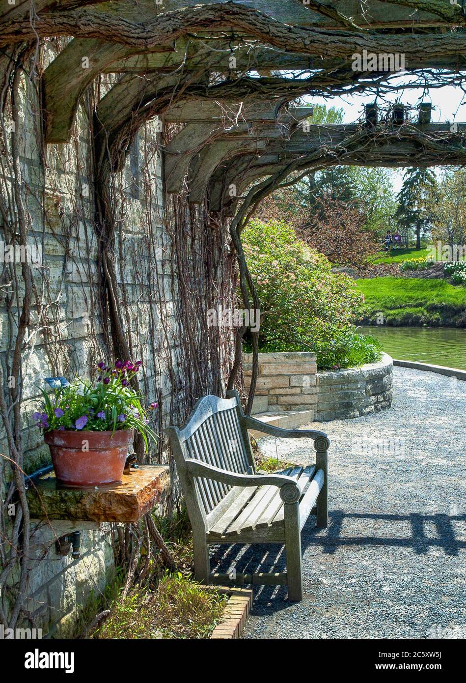 Wooden bench under an arbor at a beautiful garden, a peaceful place to ...
