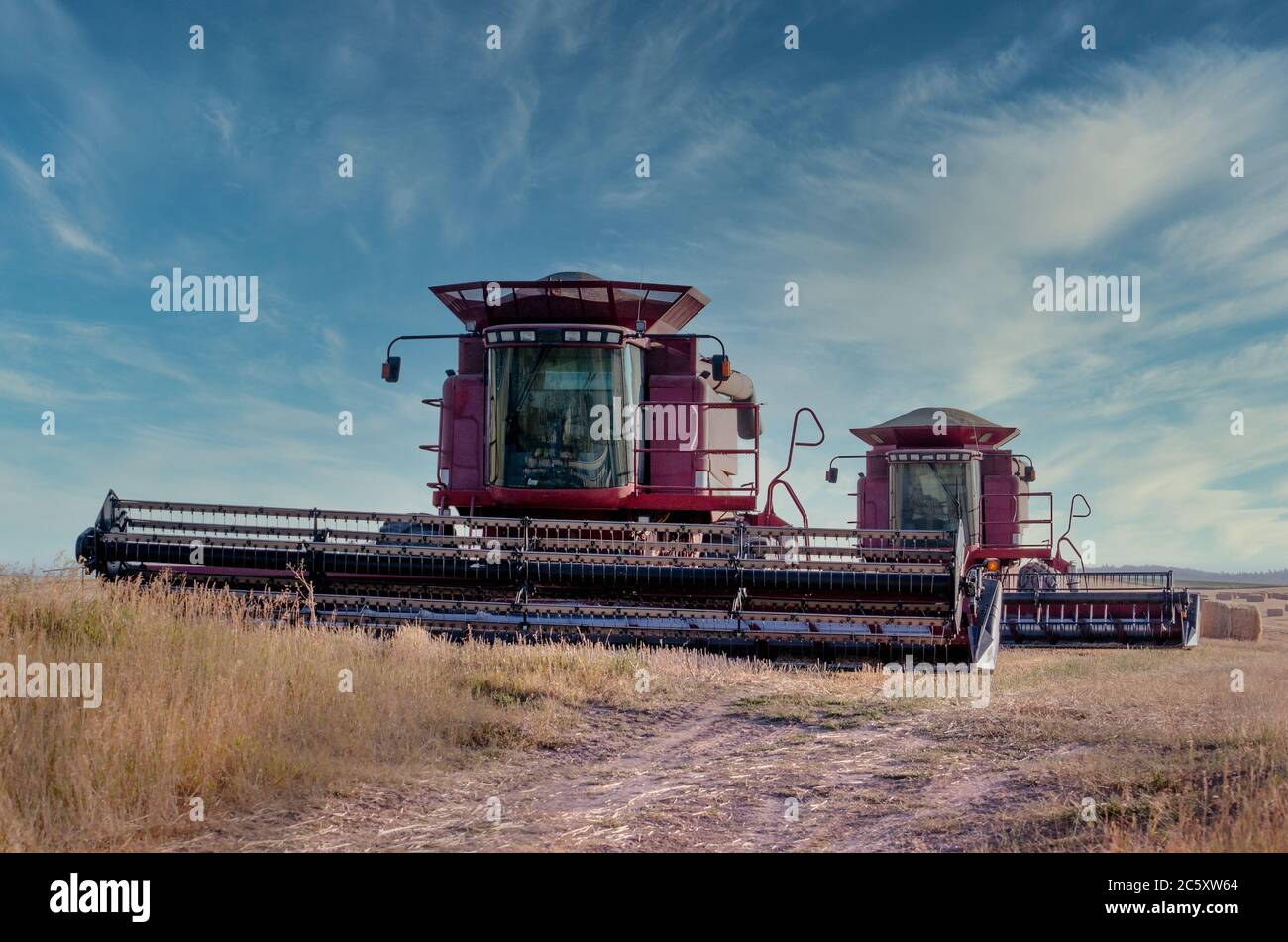 Straw for animals hi-res stock photography and images - Alamy