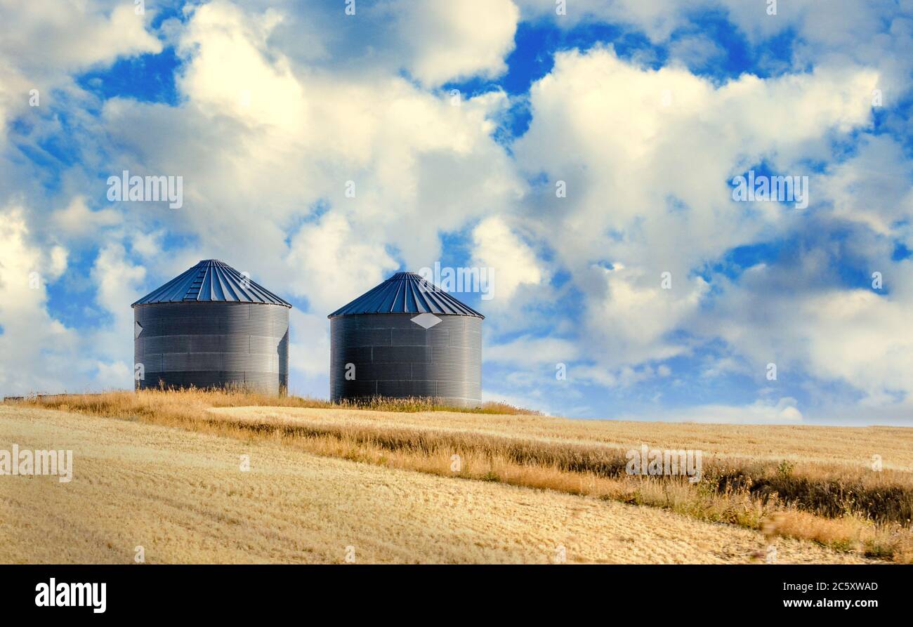 Pair of steel farm silos sit on a golden hill top with beautiful sky of ...
