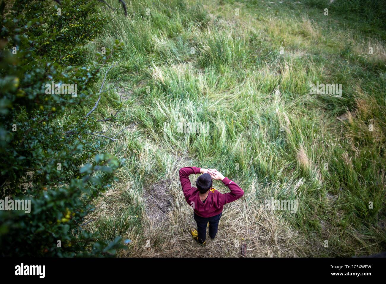 Koos High Resolution Stock Photography and Images - Alamy