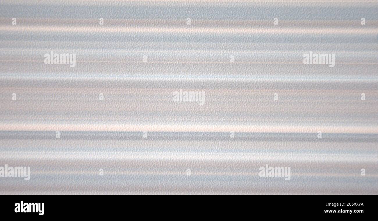 Rough and rough surface of a light ash tree with a natural close-up ...