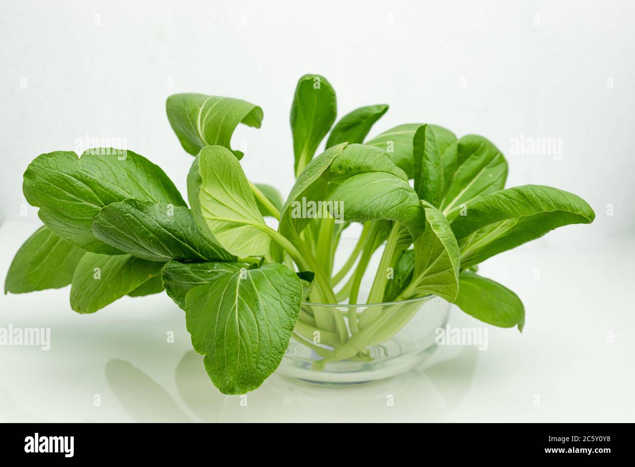 Cantonese "Brassica rapa L. cv. Group Chinese cabbage" in a cup on a ...