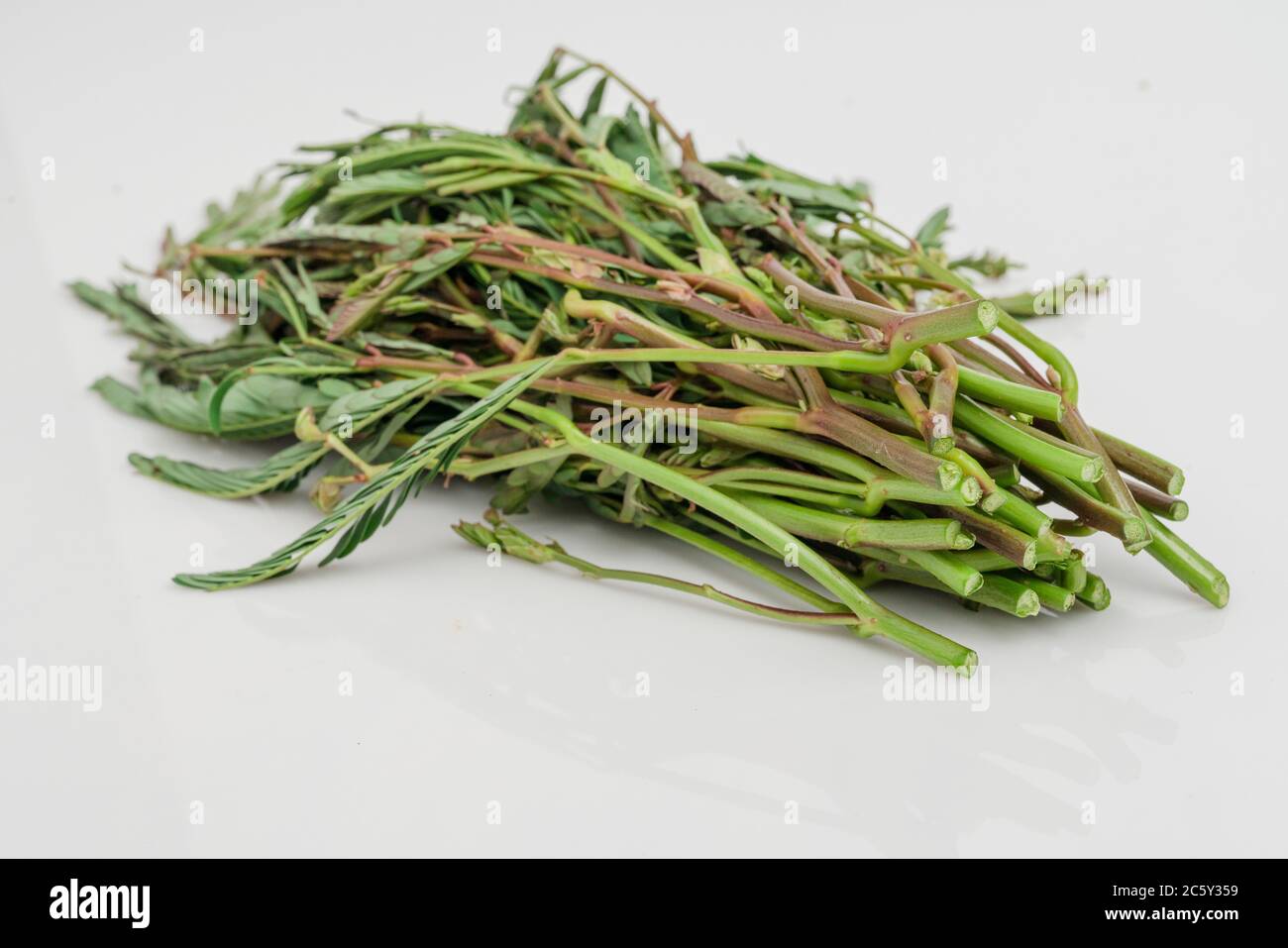 Mimosa vegetables placed on a white background Stock Photo - Alamy