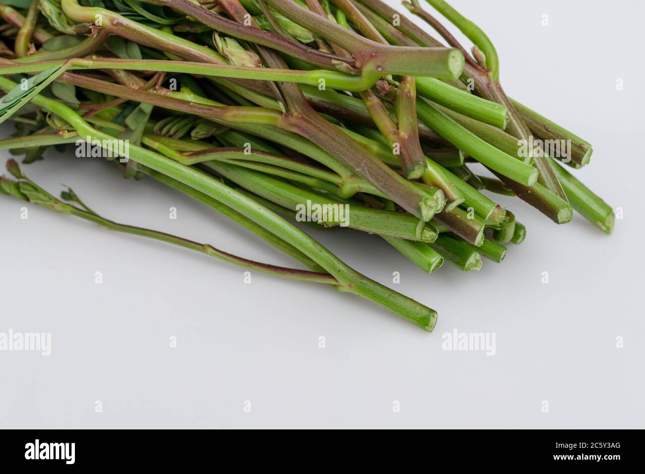 Mimosa vegetables placed on a white background Stock Photo - Alamy