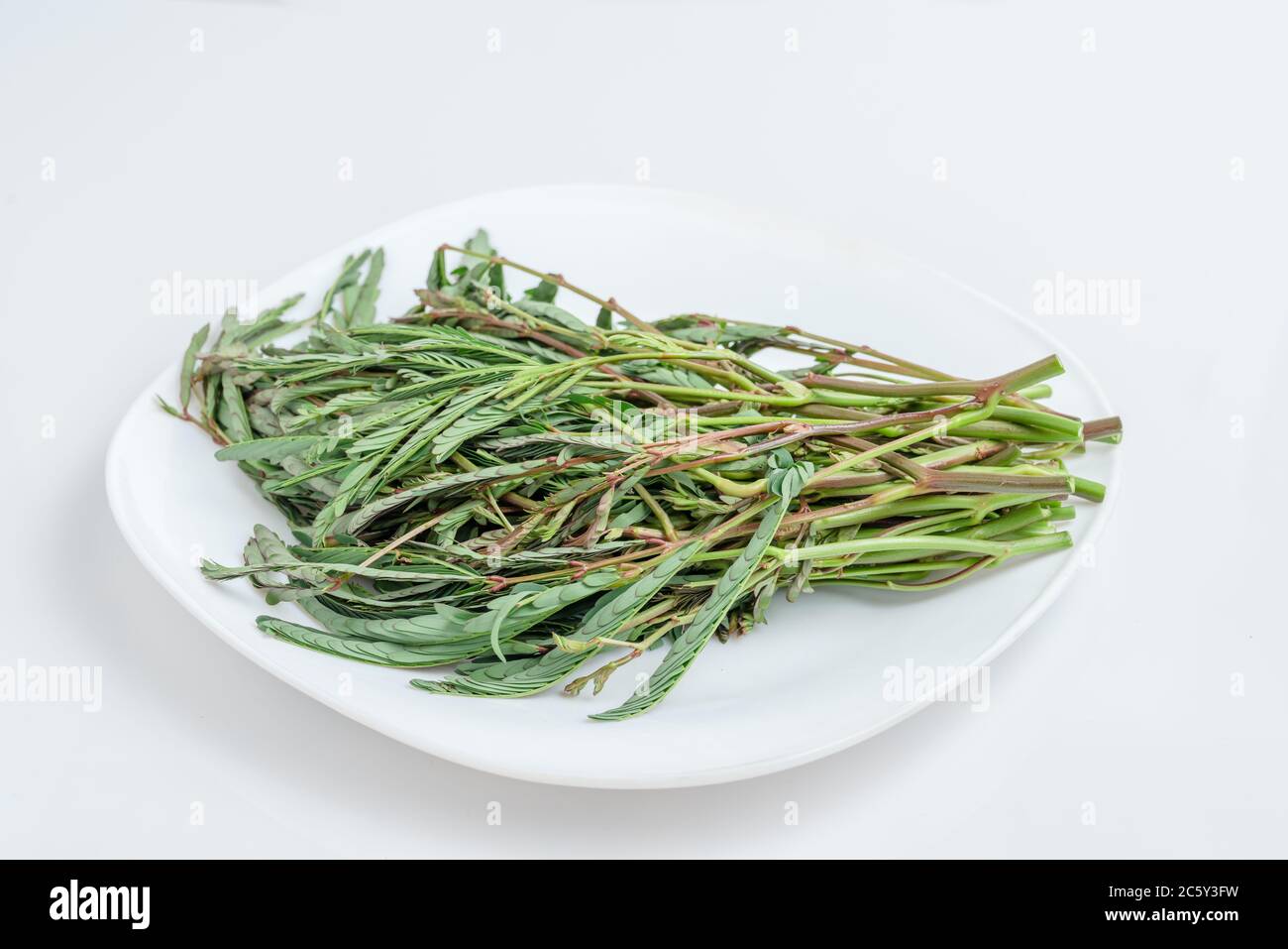 Mimosa vegetables placed on a white background Stock Photo - Alamy