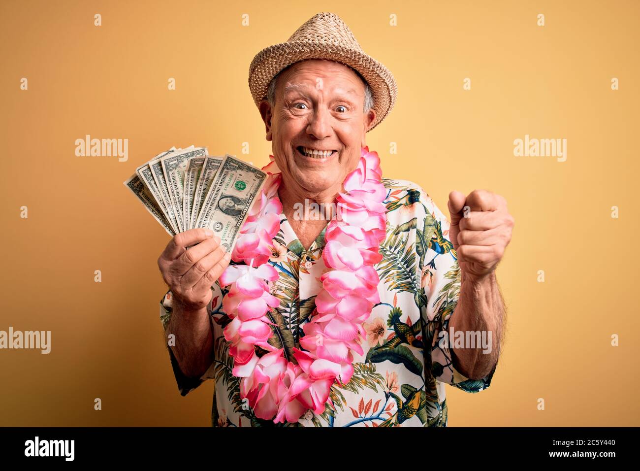 Grey haired senior man wearing summer hat and hawaiian lei holding ...