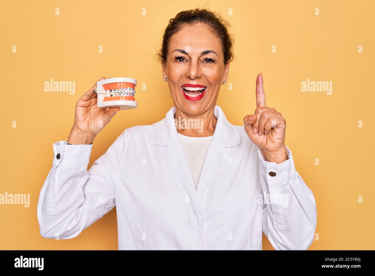 Middle age senior dentist woman holding orthodontics denture with ...