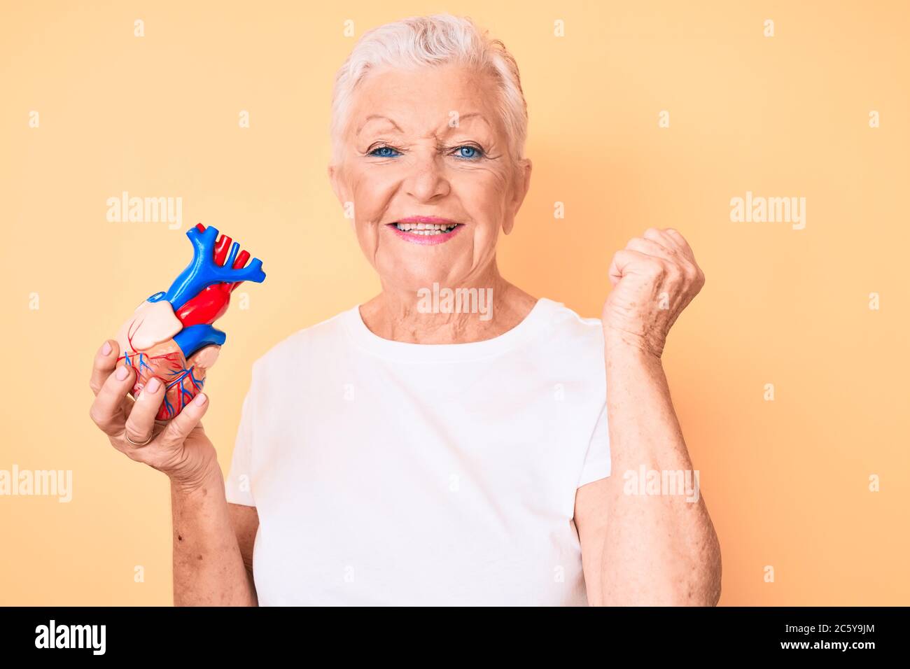 Senior beautiful woman with blue eyes and grey hair holding heart organ ...