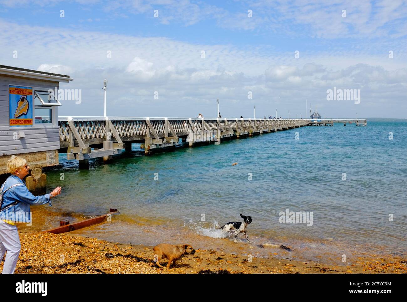 Throwing the dog a bone dog racing into the sea to fetch Stock Photo ...