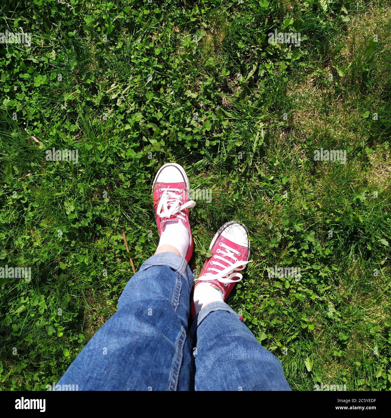 Top view of the feet of a Stock Photo - Alamy