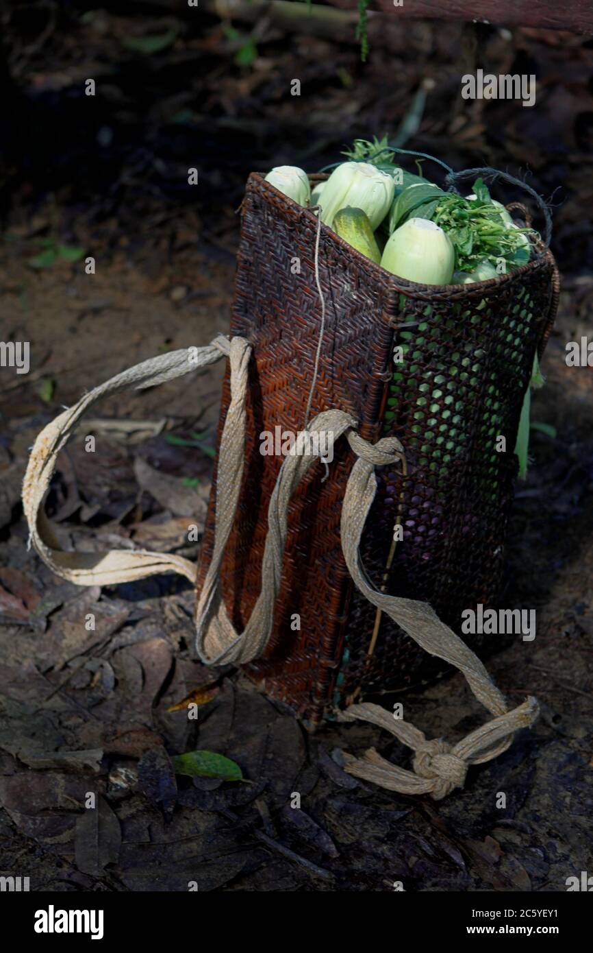 Agricultural products carrier. Rattan backpack. Traditional hand-made ...