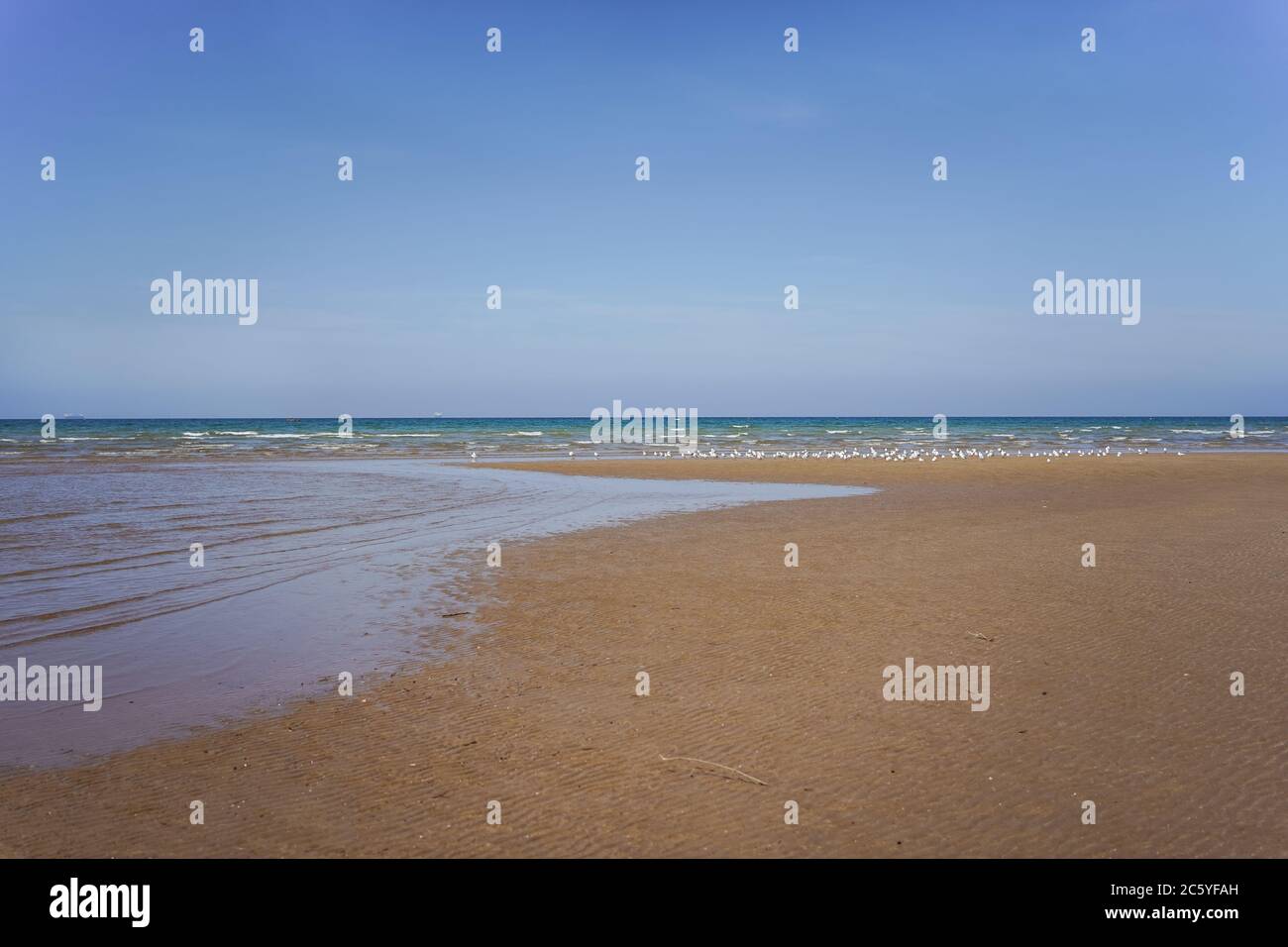 Muscat / Oman - February 10, 2020: Beach in Muscat Stock Photo - Alamy