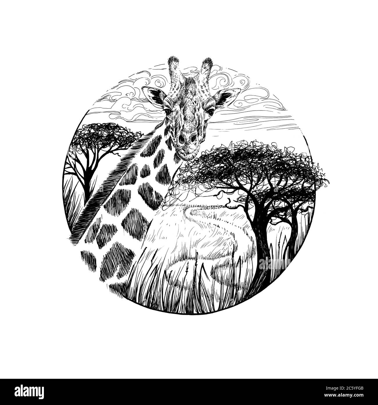 Hand drawn giraffe, sketch graphics monochrome illustration on white ...