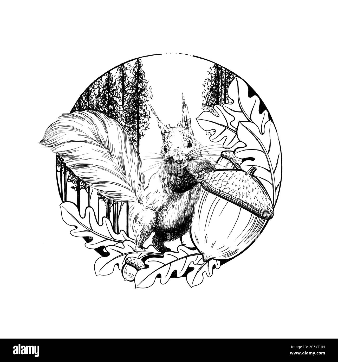 White Pen And Ink Squirrel