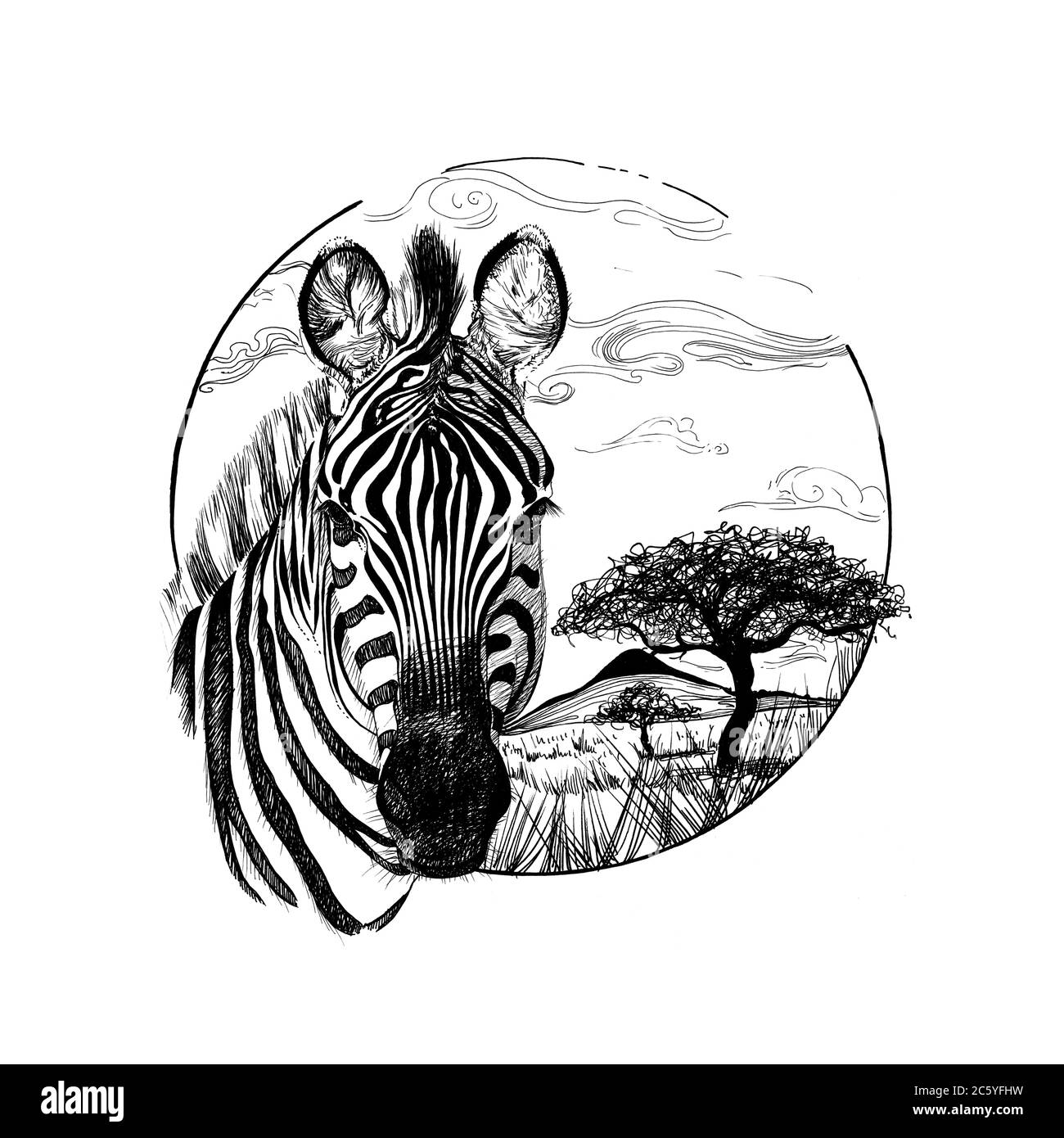 Zebra Head Pencil Drawing