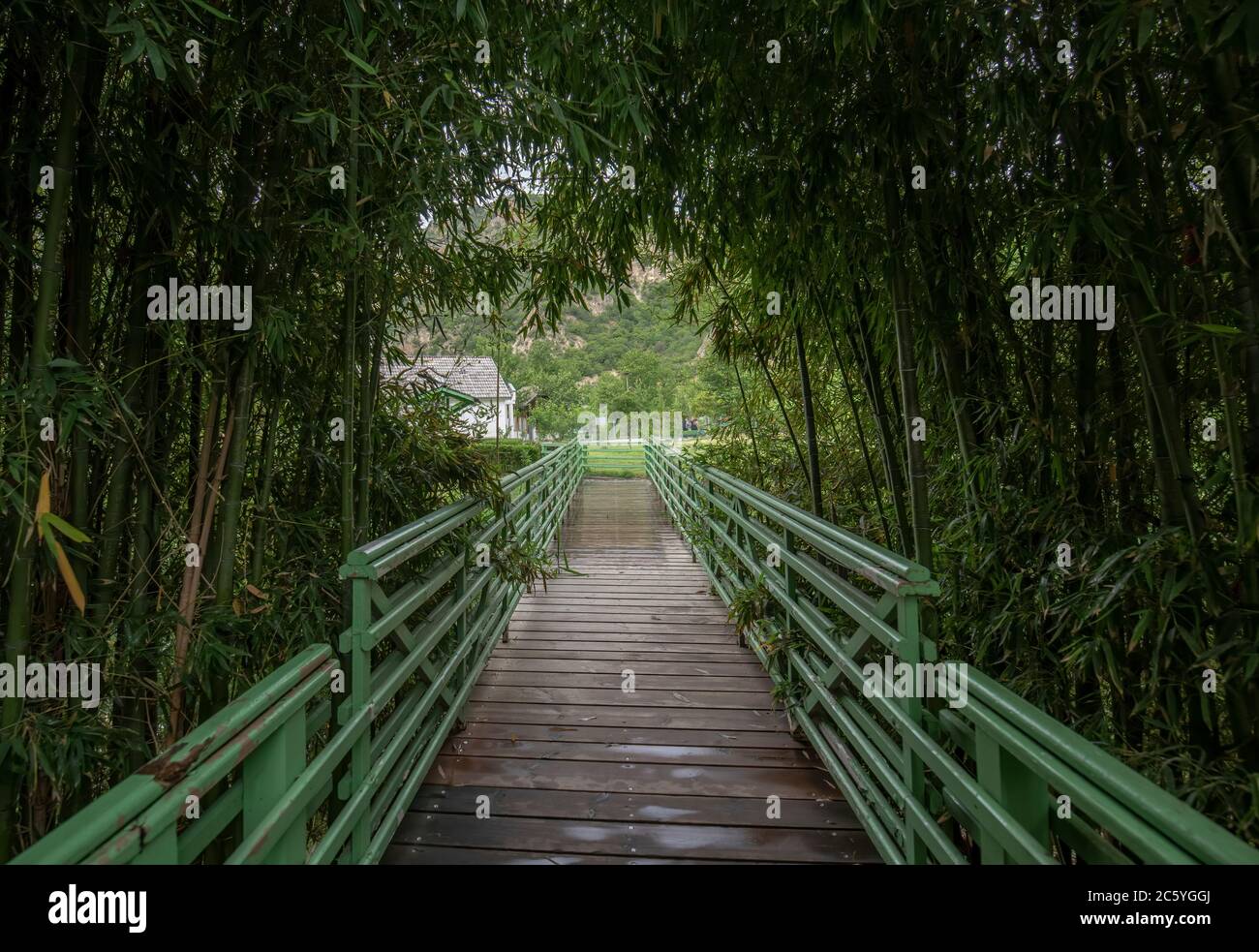 The park with thermal springs at Baba Vanga at Rupite, Petrich ...