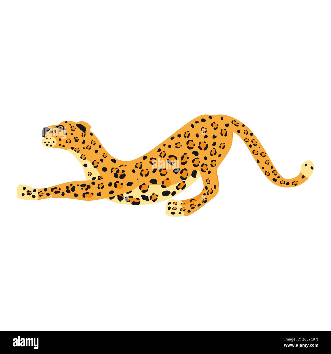 Leopard smack cute trend style, animal predator mammal, jungle Stock ...