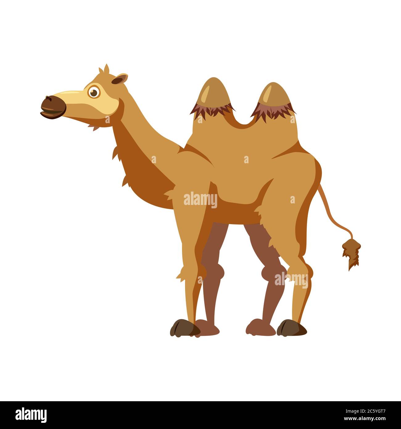 Adorable camel Cut Out Stock Images & Pictures - Alamy