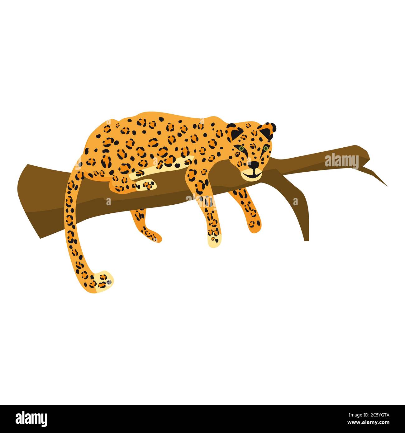 Leopard jumping cute trend style, animal predator mammal, jungle Stock ...