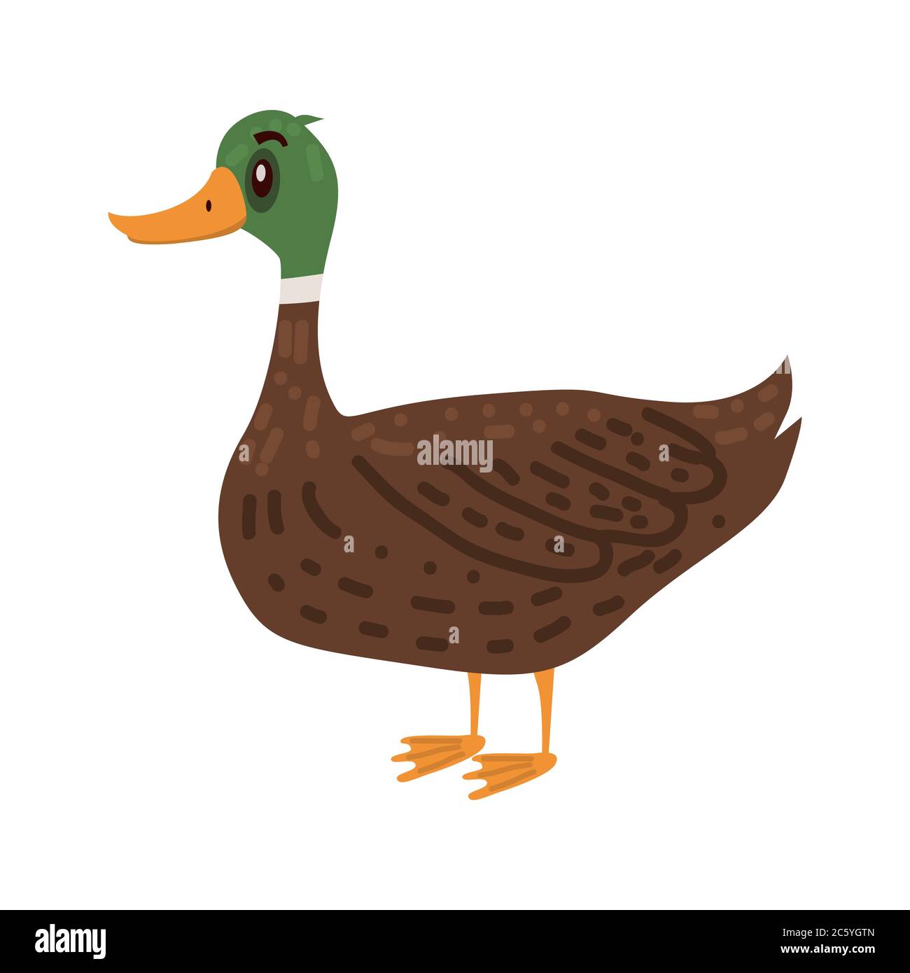 Cute duck, animal, bird trend cartoon style vector Stock Vector Image ...