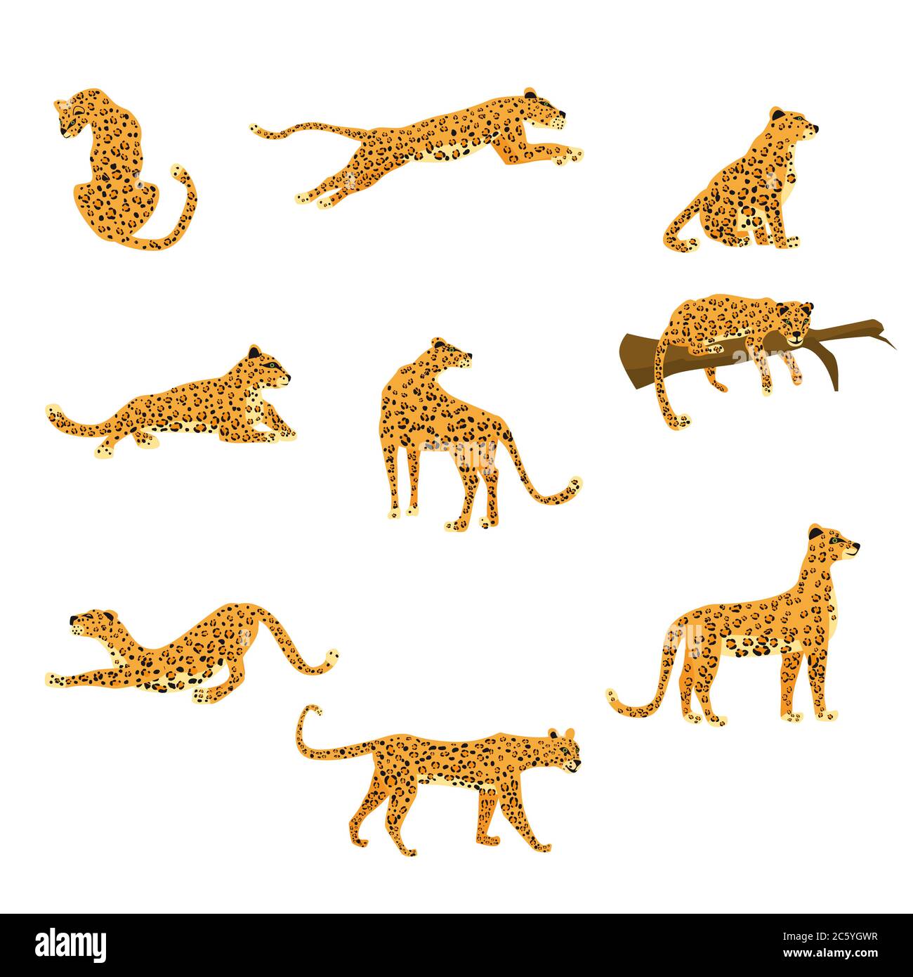 African leopards in tree Stock Vector Images - Alamy