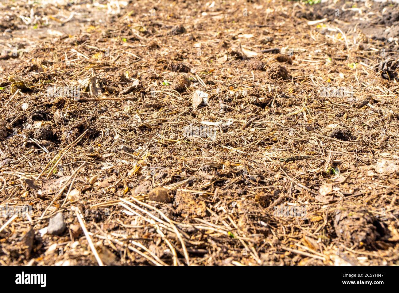 organic soil fertilization to improve soil structure and preserve the ...