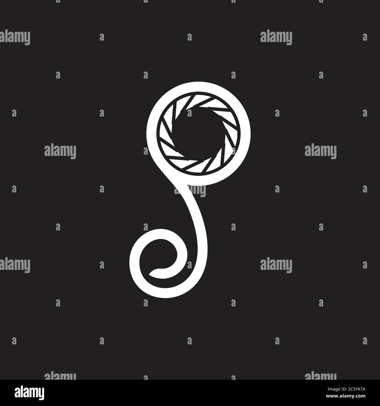 letter p curves camera photography symbol vector Stock Vector Image ...