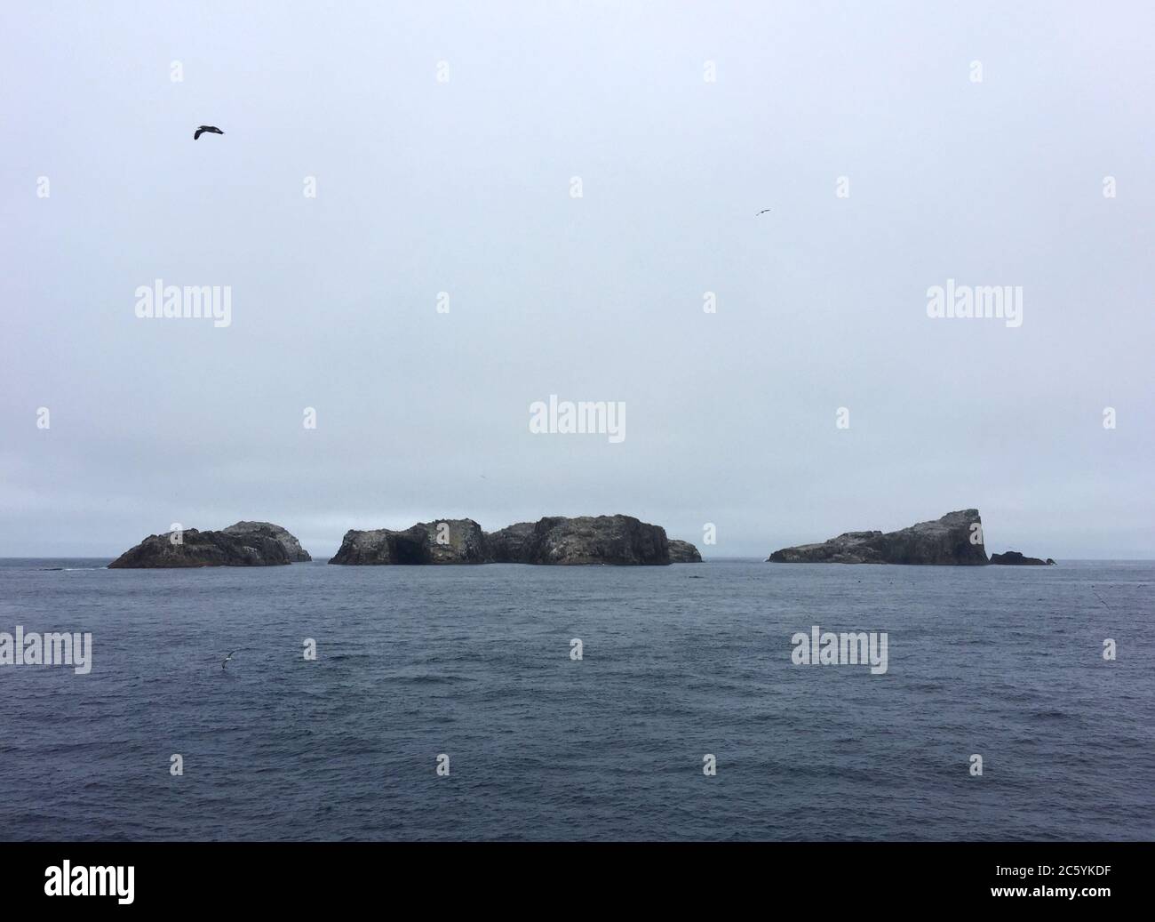 The remote Bounty Islands off New Zealand. A small group of 13 ...