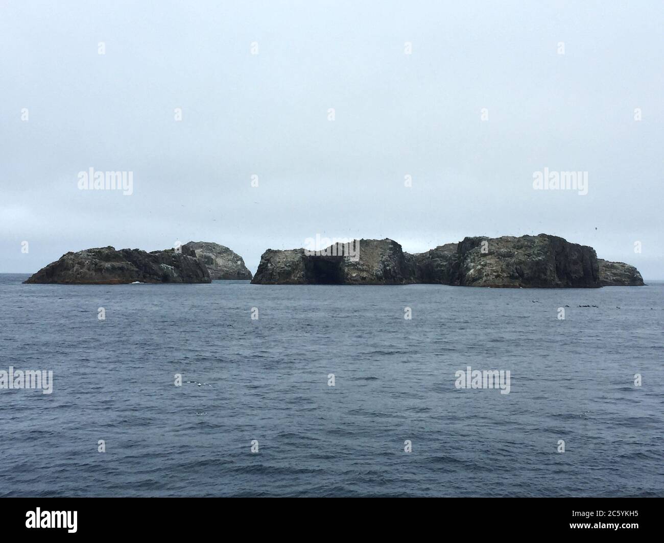 Bounty islands new zealand hi-res stock photography and images - Alamy