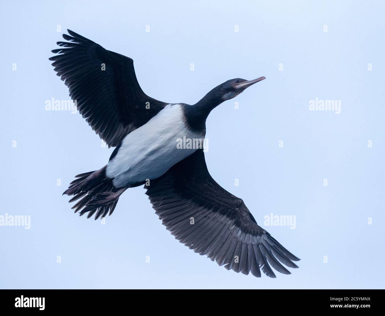 Uninhabited new zealand hi-res stock photography and images - Alamy