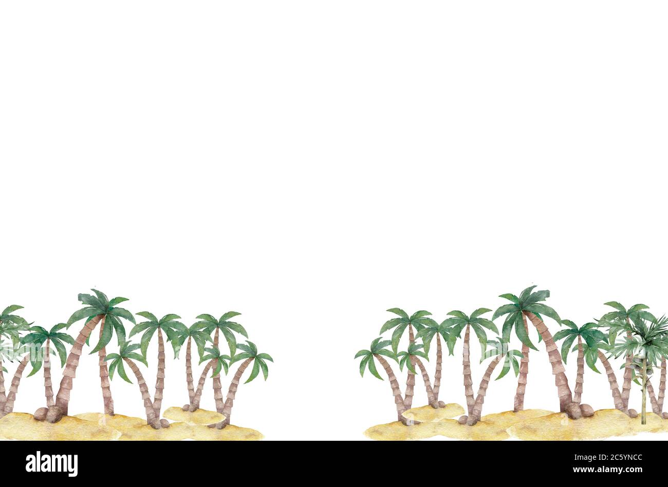 Exotic tropical palm tree. Frame border background. Summer illustration ...