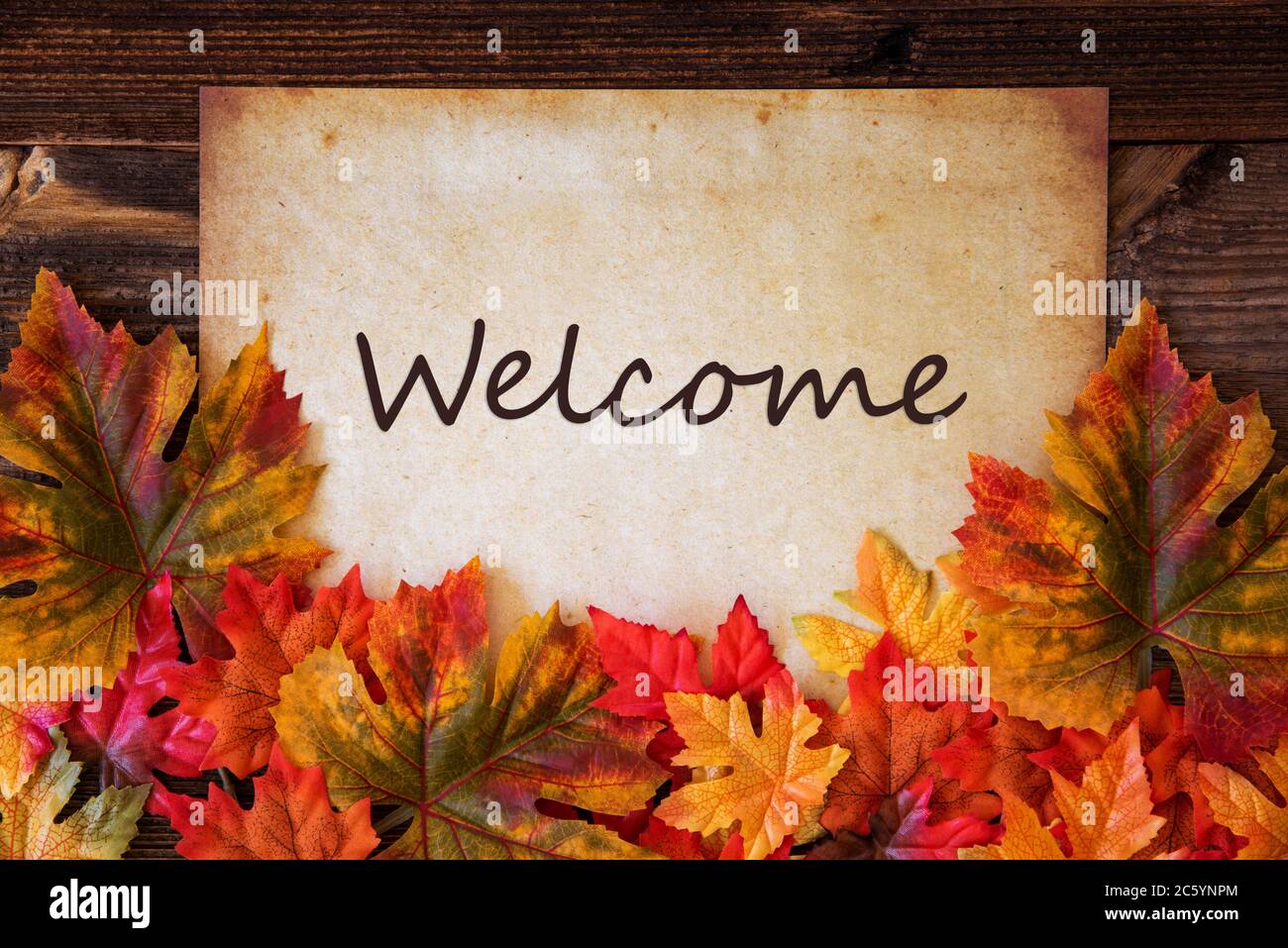 Grungy Old Paper, Colorful Leaves, Text Welcome Stock Photo - Alamy