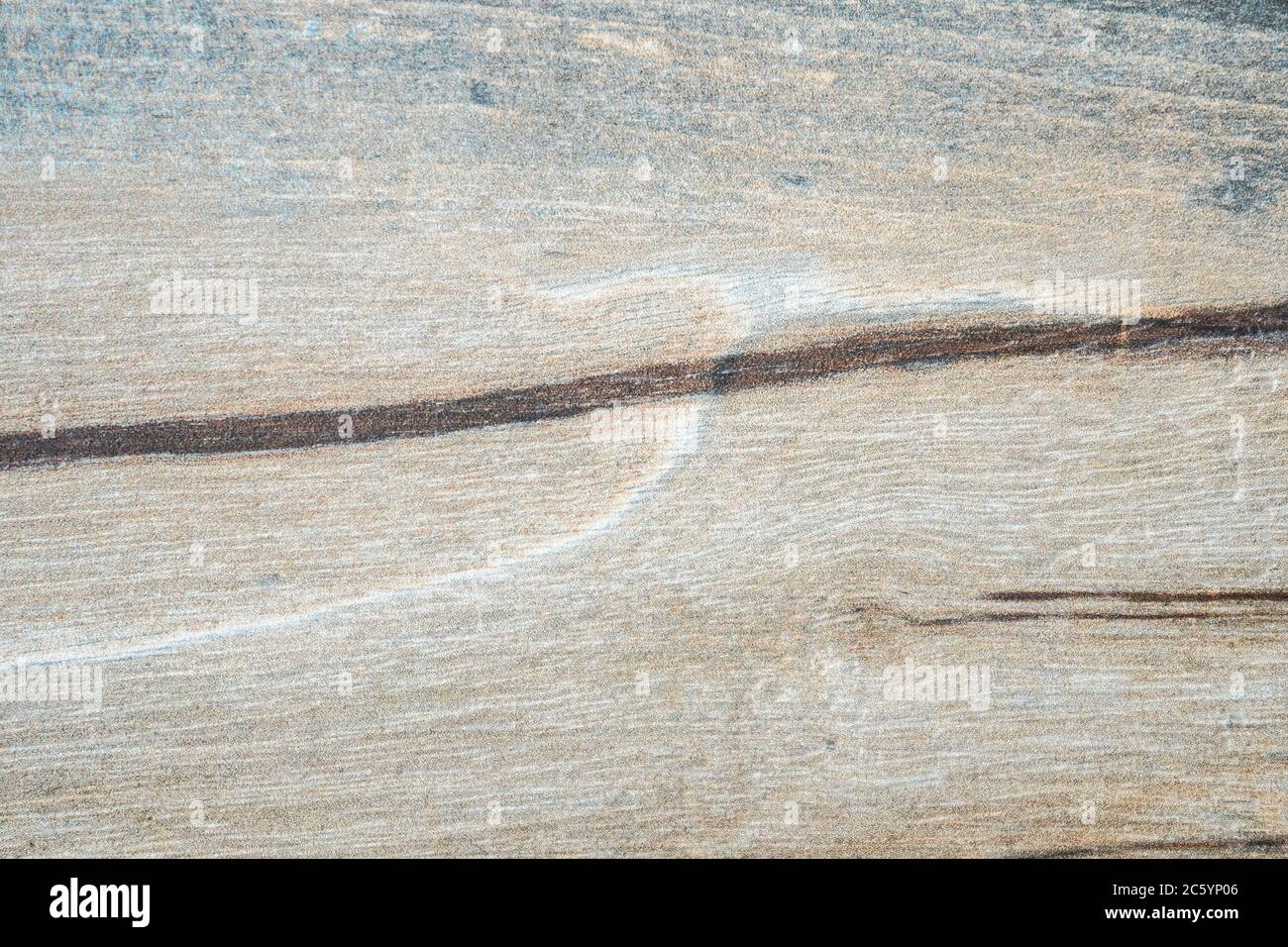 light brown striped tree texture on background. Texture wallpaper Stock ...