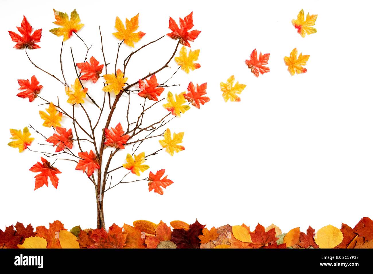 Tree With Colorful Leaf Decoration, Leaves Flying Away, Copy Space ...