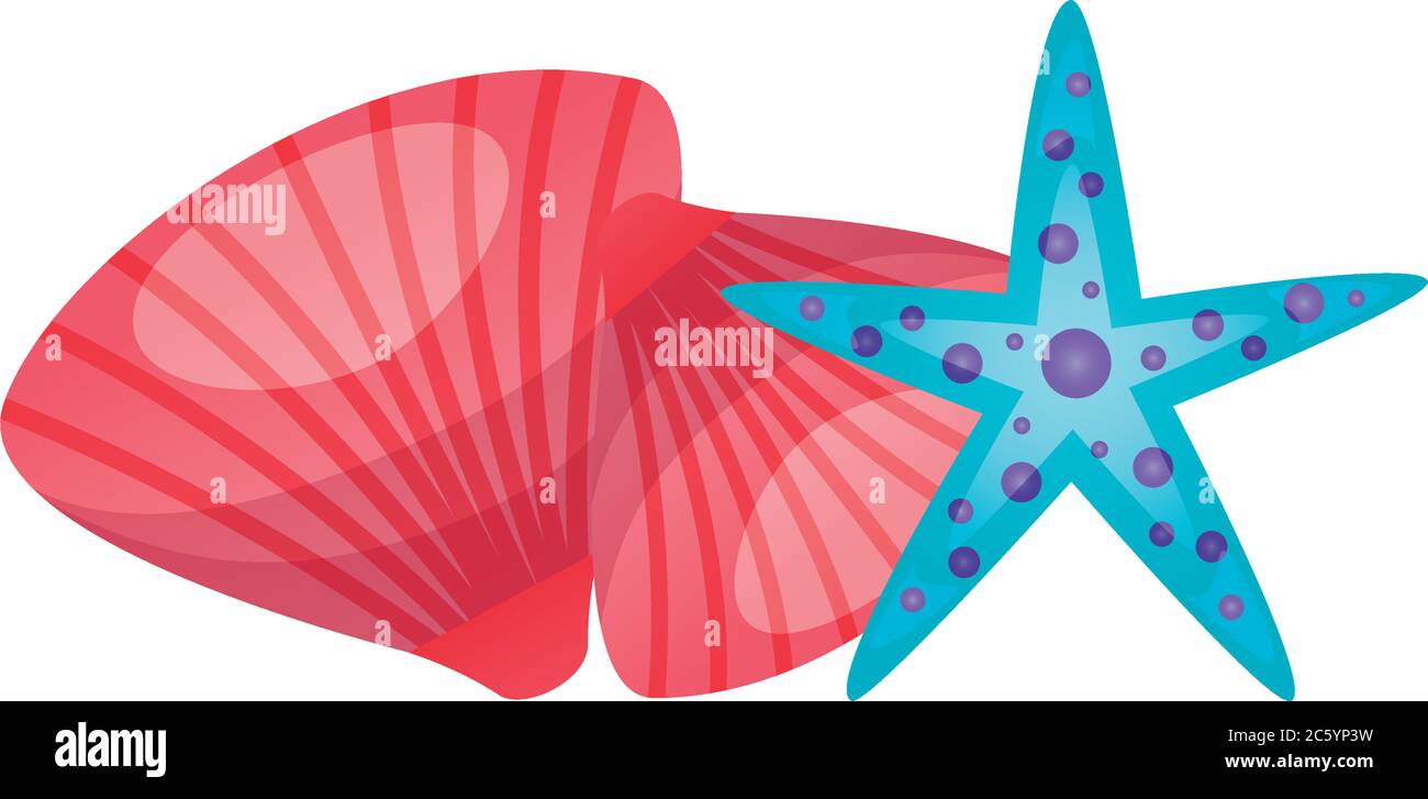 shells and star design Sea life ecosystem fauna and ocean theme Vector ...