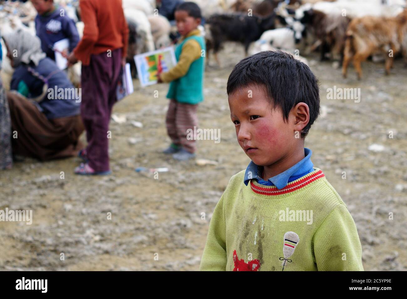 Nomadic changpa tribe hi-res stock photography and images - Alamy