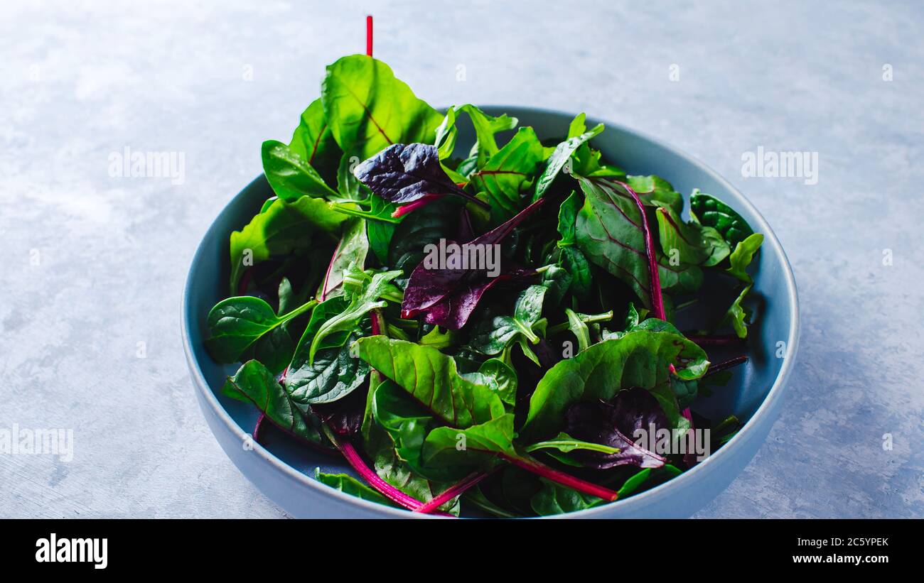 Micro chard hi-res stock photography and images - Alamy