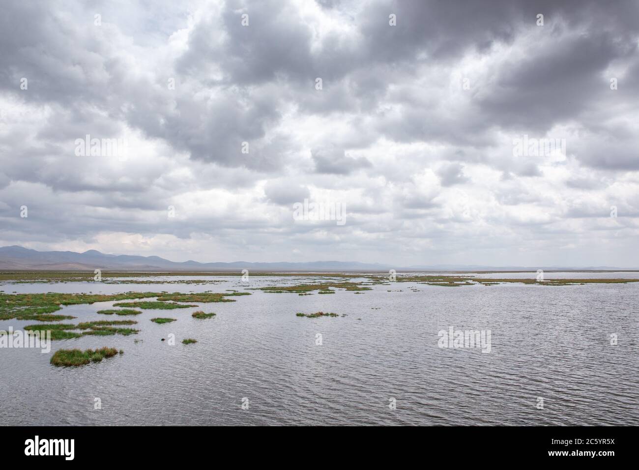 Zoige Grassland, one of the biggest grassland in the border of Szechuan ...
