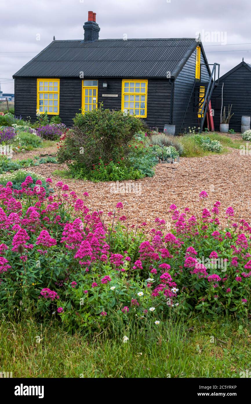Shingle garden hi-res stock photography and images - Alamy