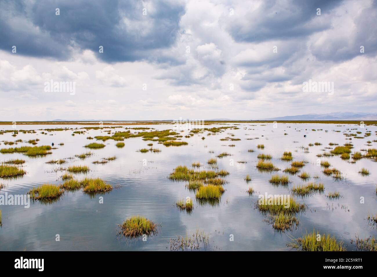 Zoige Grassland, one of the biggest grassland in the border of Szechuan ...