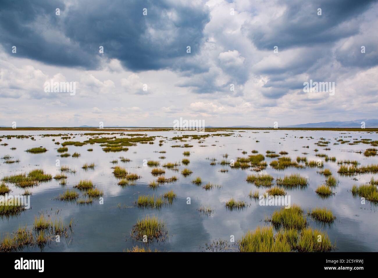 Zoige Grassland, one of the biggest grassland in the border of Szechuan ...