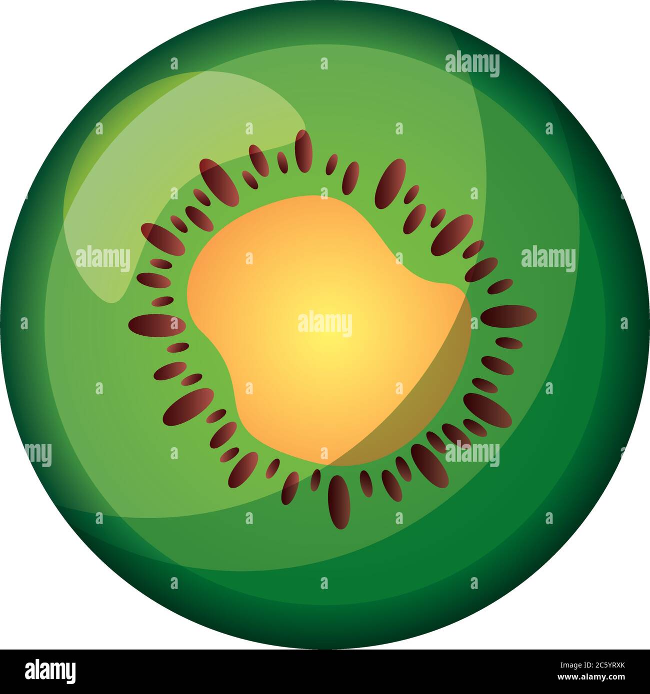 kiwi design, Fruit healthy organic food sweet and nature theme Vector ...