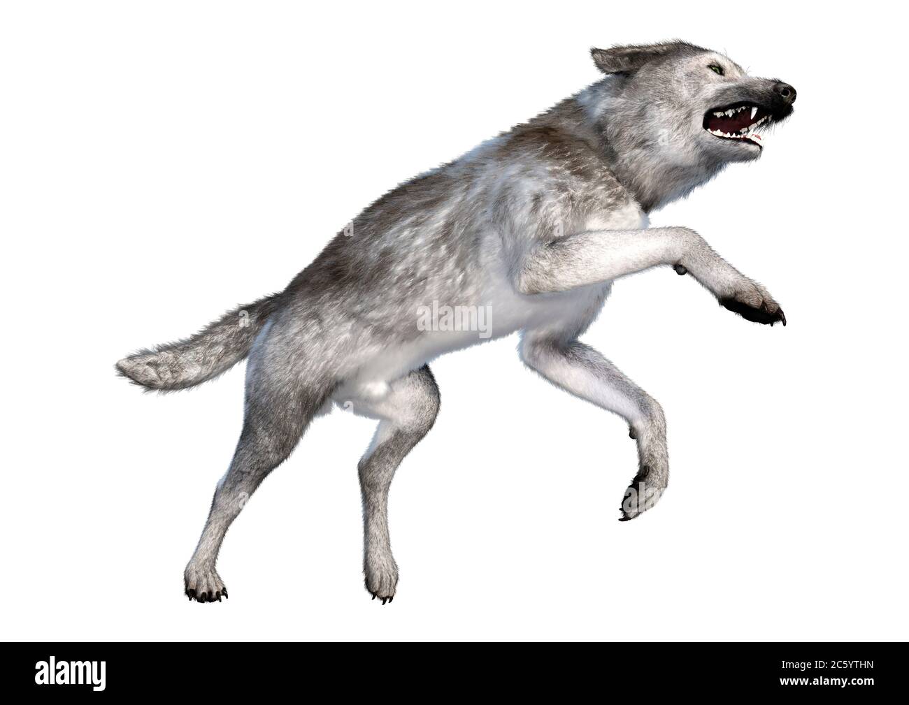 Wolf Jumping Drawing