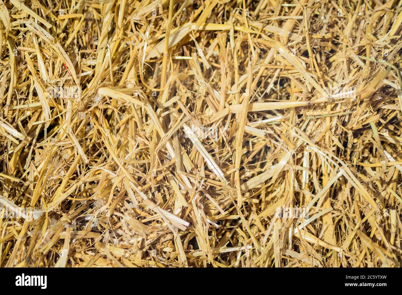 hay background texture Stock Photo - Alamy