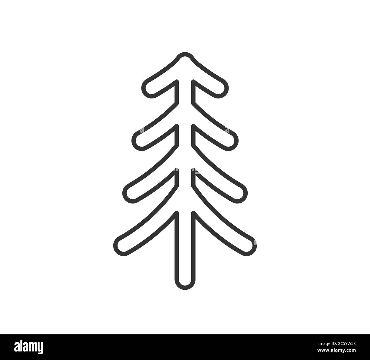 White Spruce Silhouette